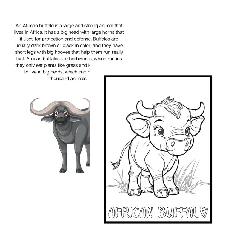 African Animals Coloring Pages With Little Stories, Coloring Pages for ...