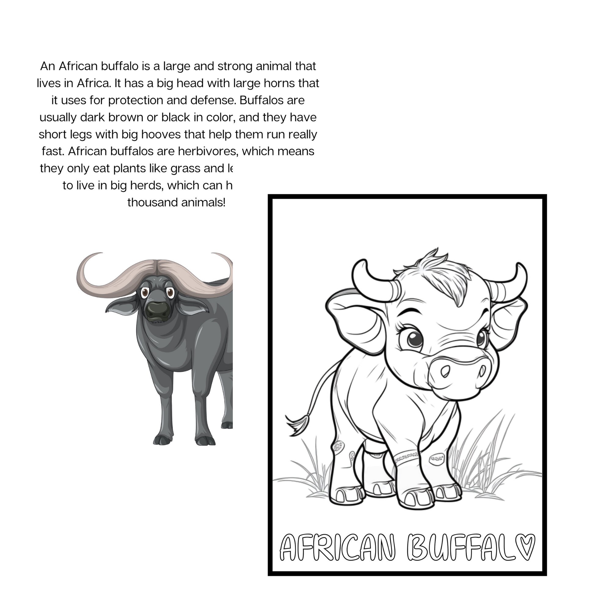 African Animals Coloring Pages With Little Stories, Coloring Pages for ...