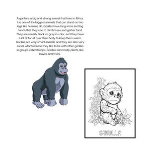 African Animals Coloring Pages With Little Stories, Coloring Pages for ...
