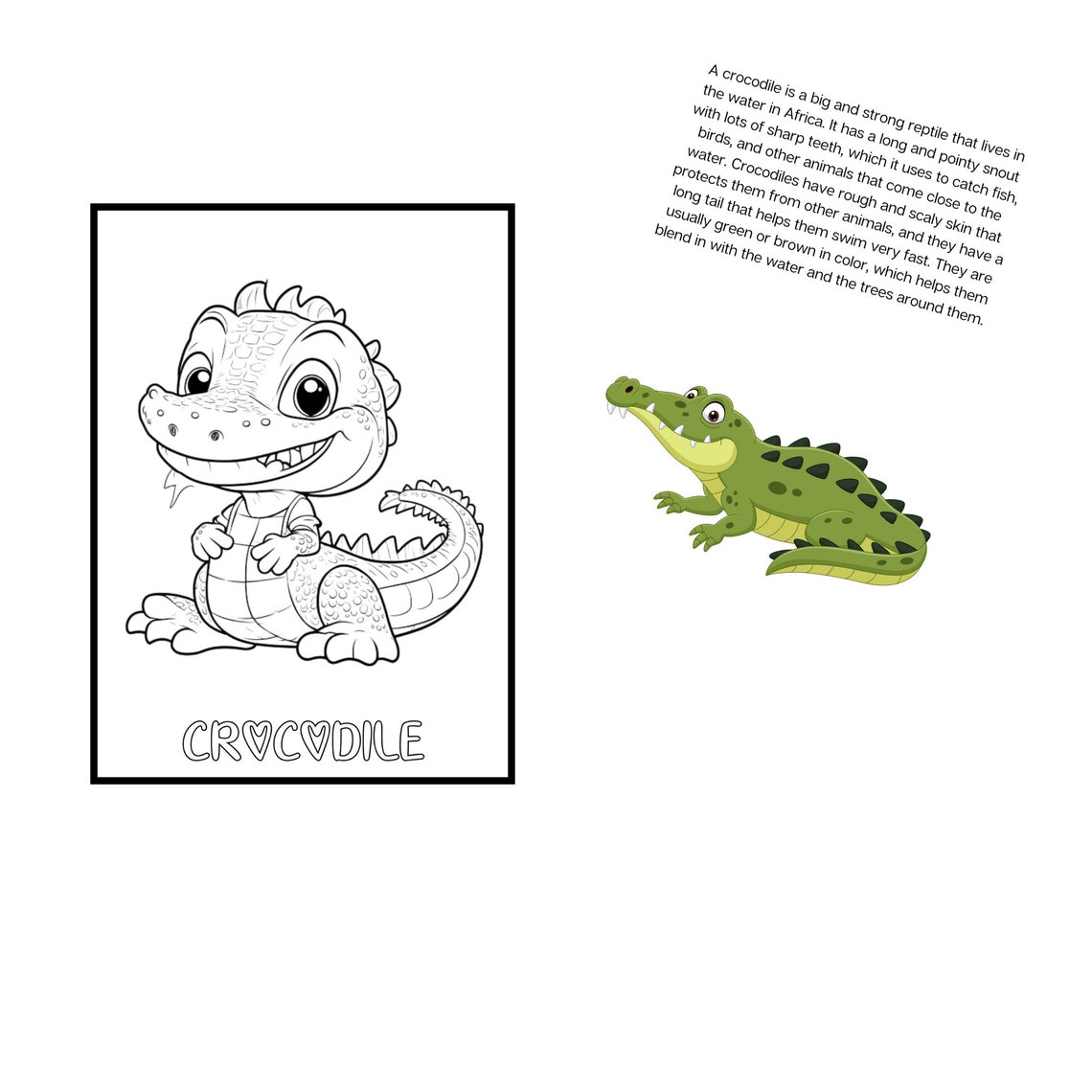 African Animals Coloring Pages With Little Stories, Coloring Pages for ...