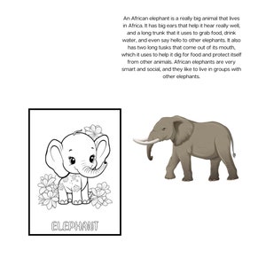 African Animals Coloring Pages With Little Stories, Coloring Pages for ...