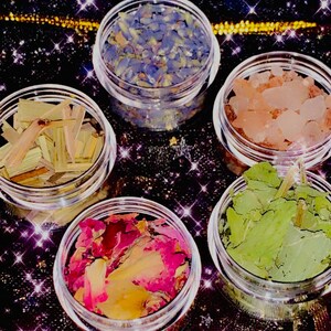 Herbology Starter Kit + Guide - Etsy