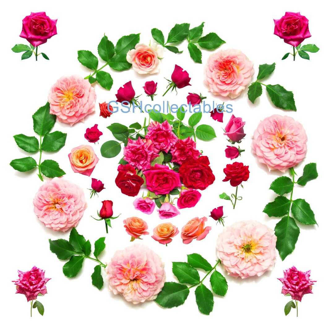 Furniture Decals Waterslide Vinyl Roses Roundabout UK - Etsy