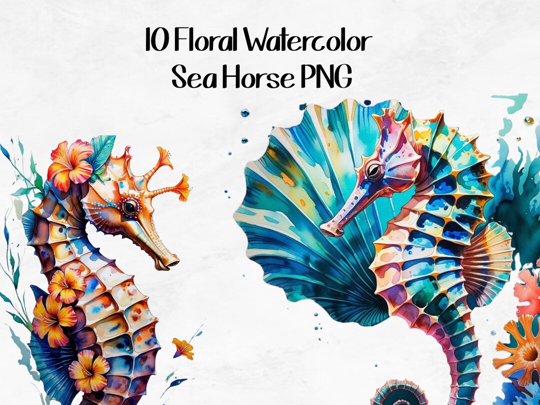 10 Marine Sea Horse Png's, Floral Marine Seahorse, Tropical Clipart ...
