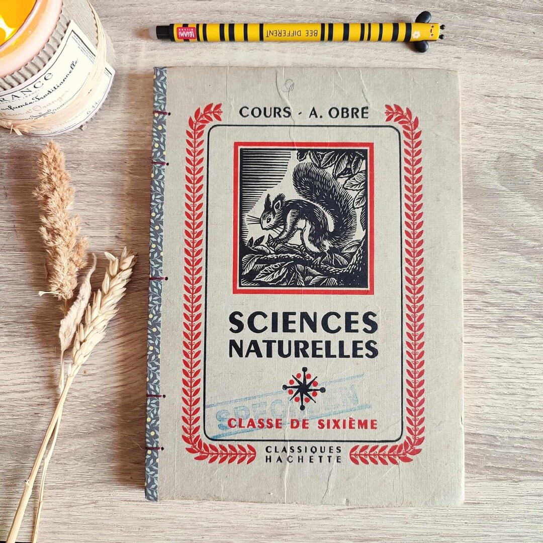 Handmade Junk Journal Made in France – Unique Vintage French School ...