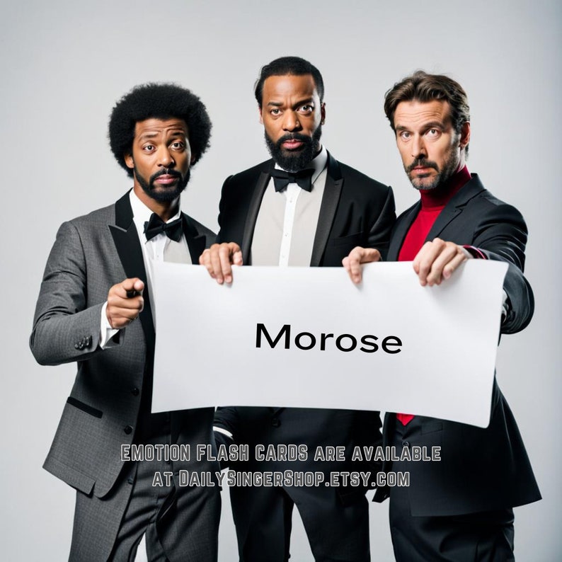 Emotion Flash Cards for Singers, Actors, & Adults (over 100 Different ...