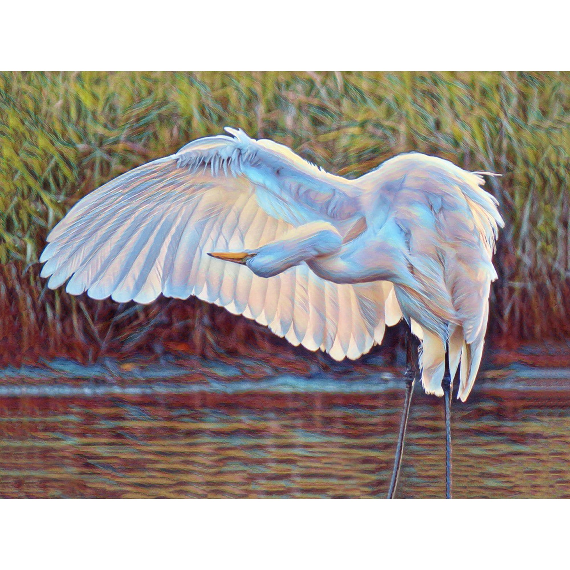 Great Egret Rainbow Illustration ~ Coastal Georgia - Etsy