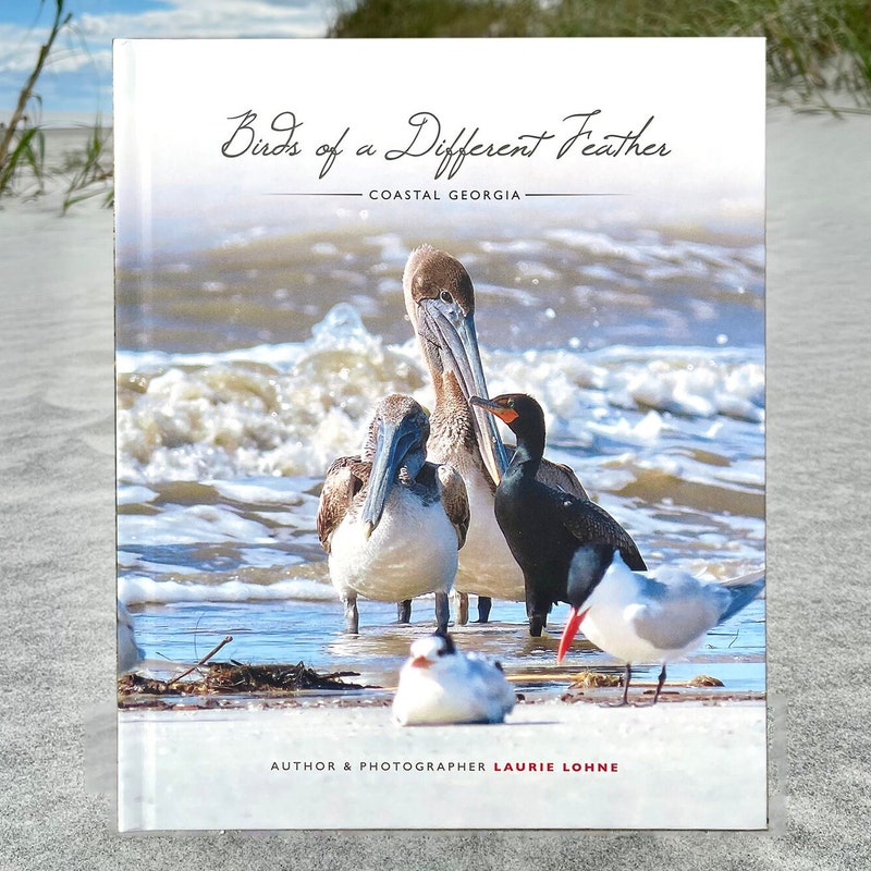 Painted Birds on Feathers - Etsy