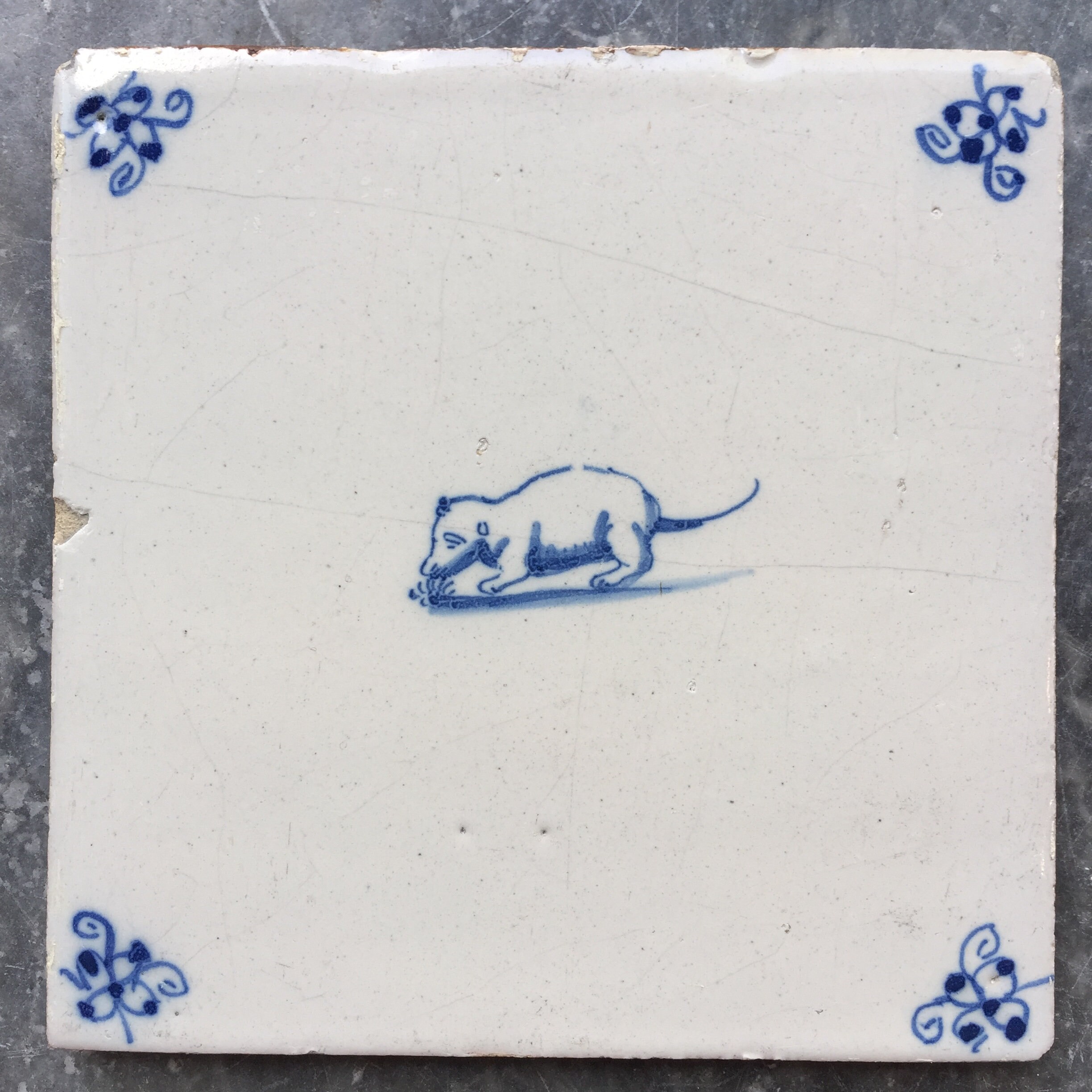 Antique 18th Century Dutch Delft Tile With Mole - Etsy
