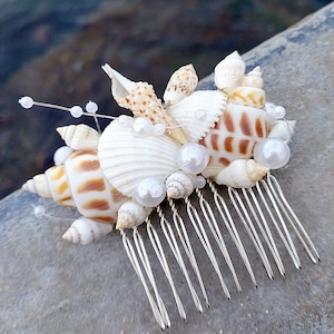 Shell Hair Clip and Comp Set(10 Pieces), Shell Hair Clip, Mermaid Hair ...