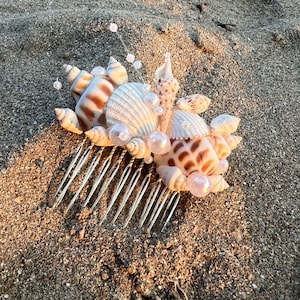 Shell Hair Clip and Comp Set(10 Pieces), Shell Hair Clip, Mermaid Hair ...