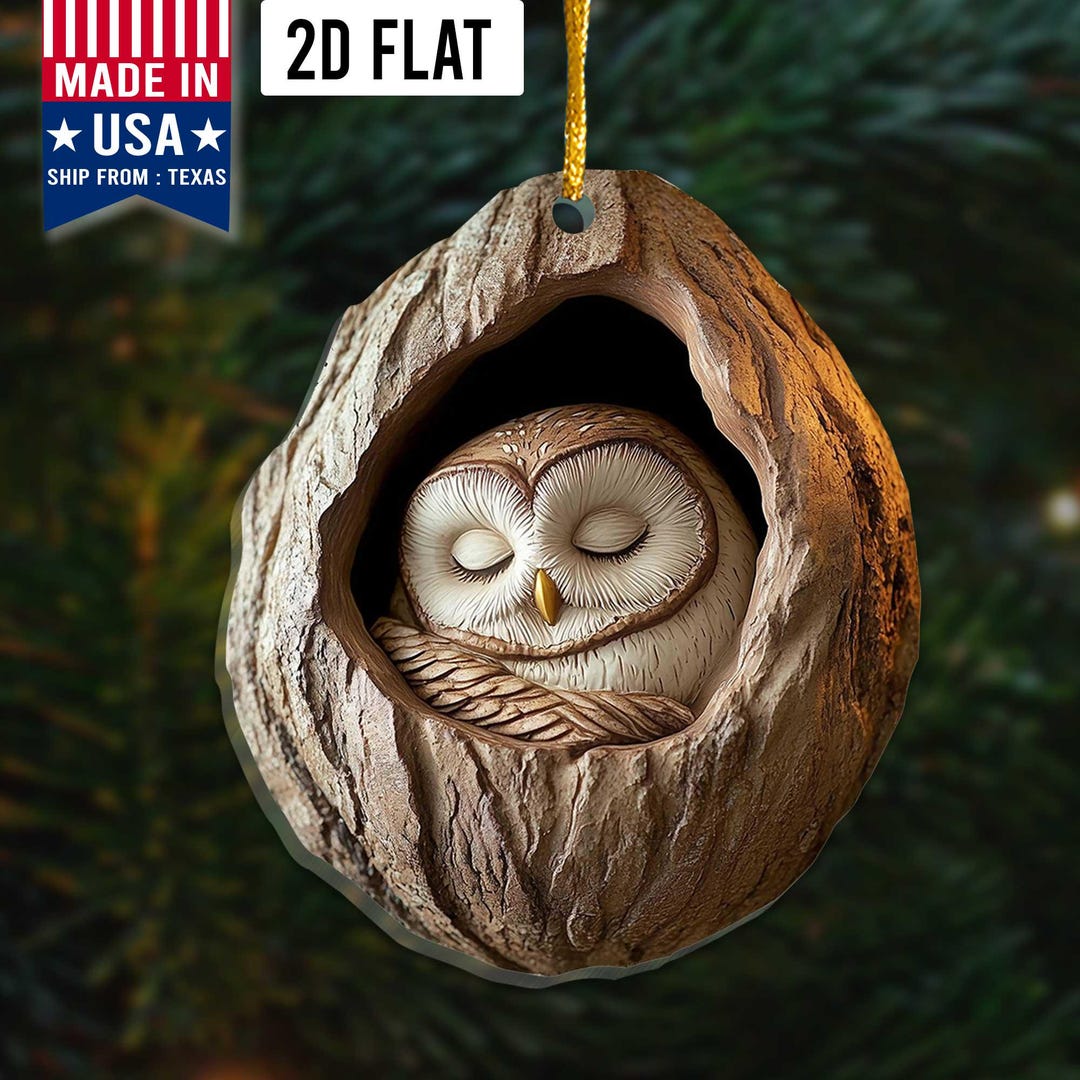 2D Flat Owl Sleeping Acrylic Ornament, Baby Owl Ornament, Christmas ...