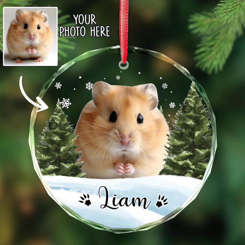 Christmas Hamster - Etsy