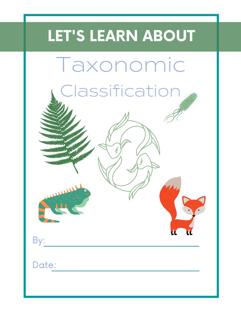 Learn the Basics of Taxonomic Classification - for Kids - Etsy