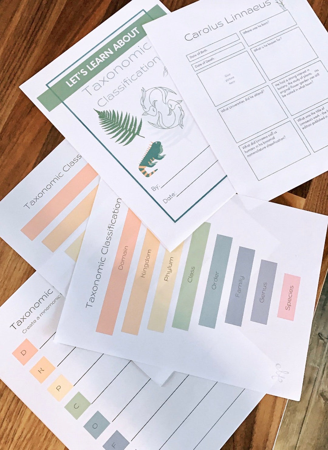 Learn the Basics of Taxonomic Classification - for Kids - Etsy