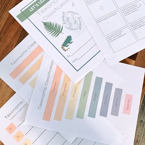 Learn the Basics of Taxonomic Classification - for Kids - Etsy