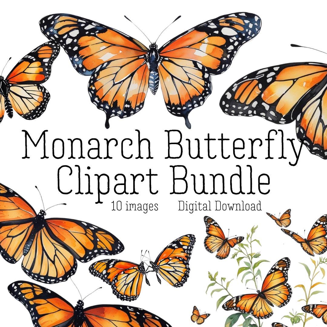 Monarch Butterfly Watercolor Clipart | Clip Art Bundle | Set of 10 ...