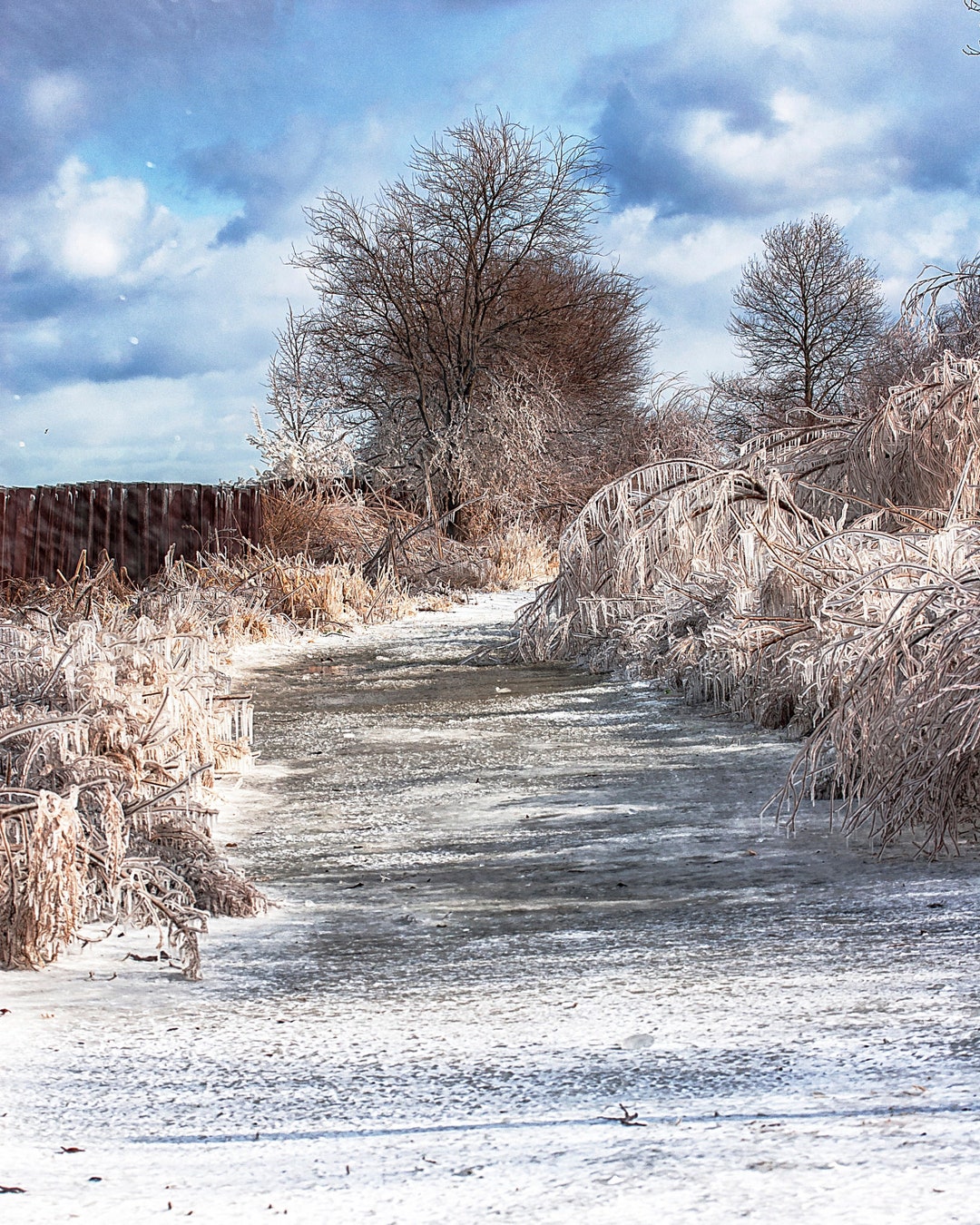 Winter Landscape Photograph: Gale Force Winds, Frozen Trees - Etsy