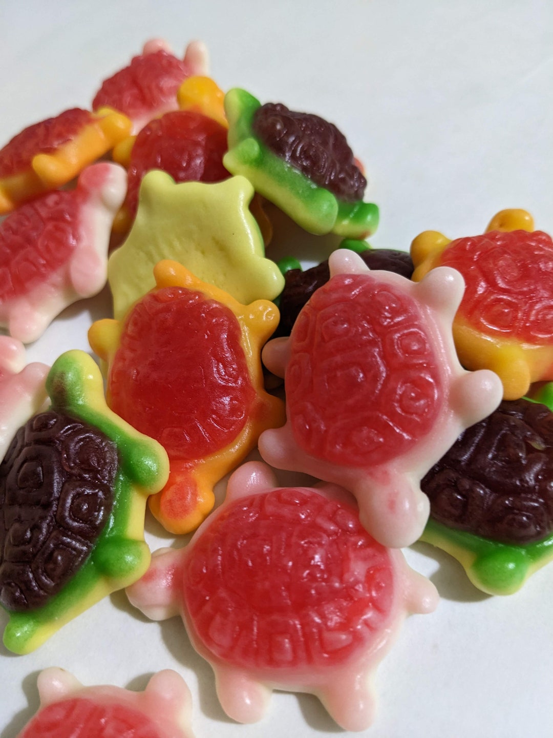 6 Oz. Lil' Sugar Mama's Sea Jelly Filled Sea Turles Gummy. Aquatic ...