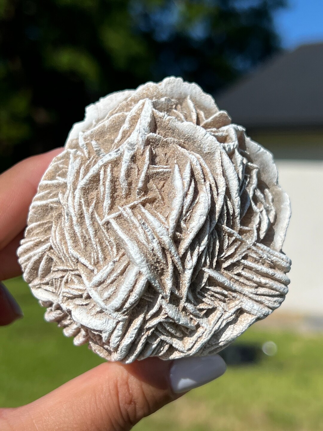 Large Raw Desert Rose Selenite Stone Specimen Gypsum Desert Rose ...