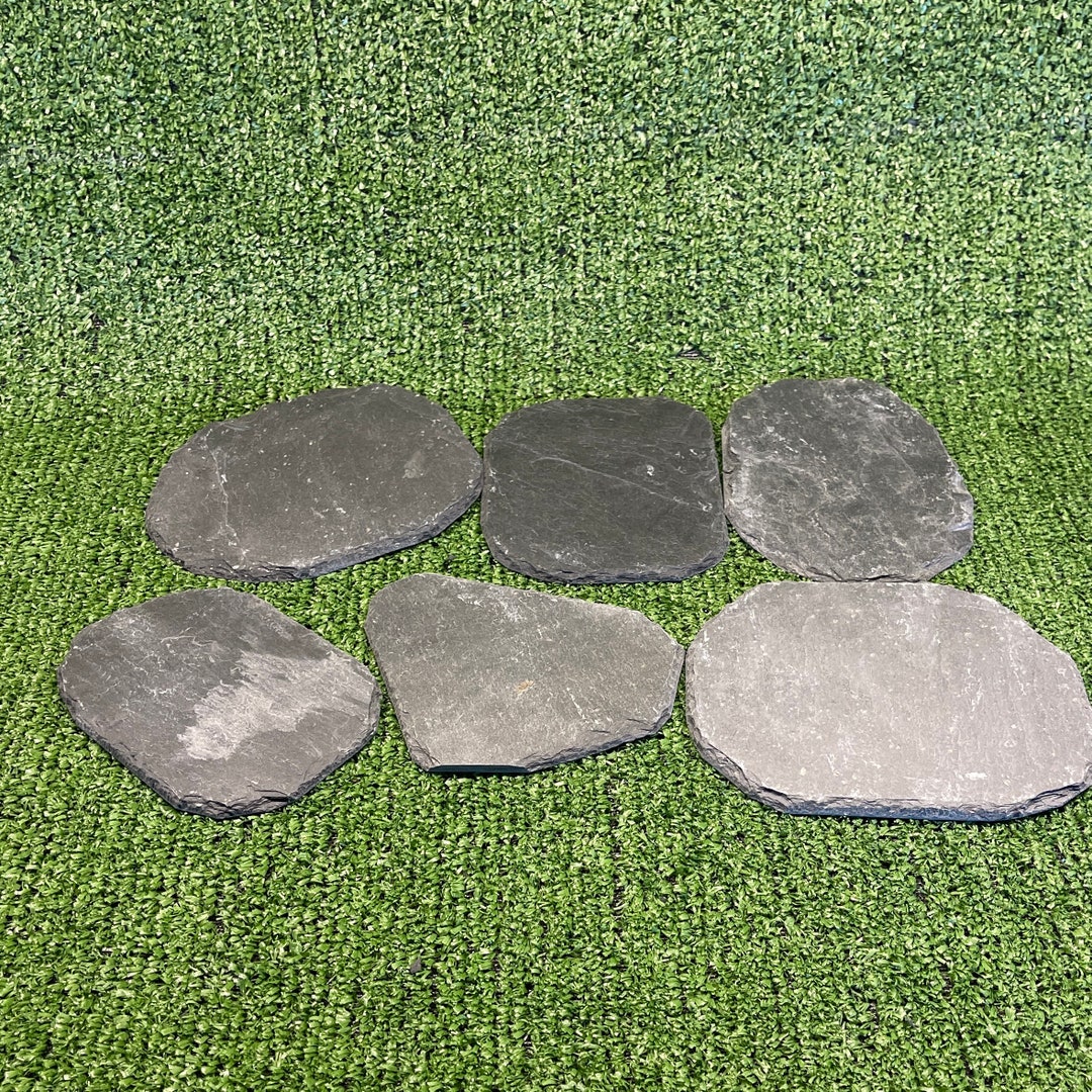 SLATES Pieces Randomly Shaped Slates for All Vivariums, Aquariums ...