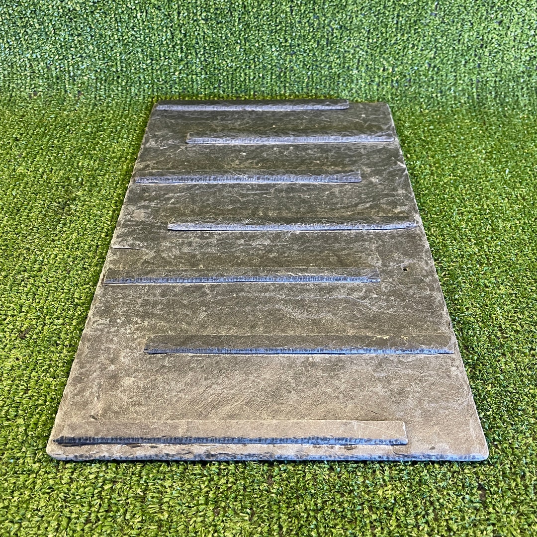 Wildlife Ramp Reptile or Aquatics, 40x25cm Axolotl, Pondlife, Terrapins ...