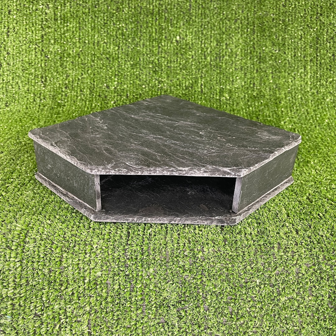 Reptile, Aquatic Slate Cave, Axolotl, Snakes, Hamsters, Fish, Geckos ...