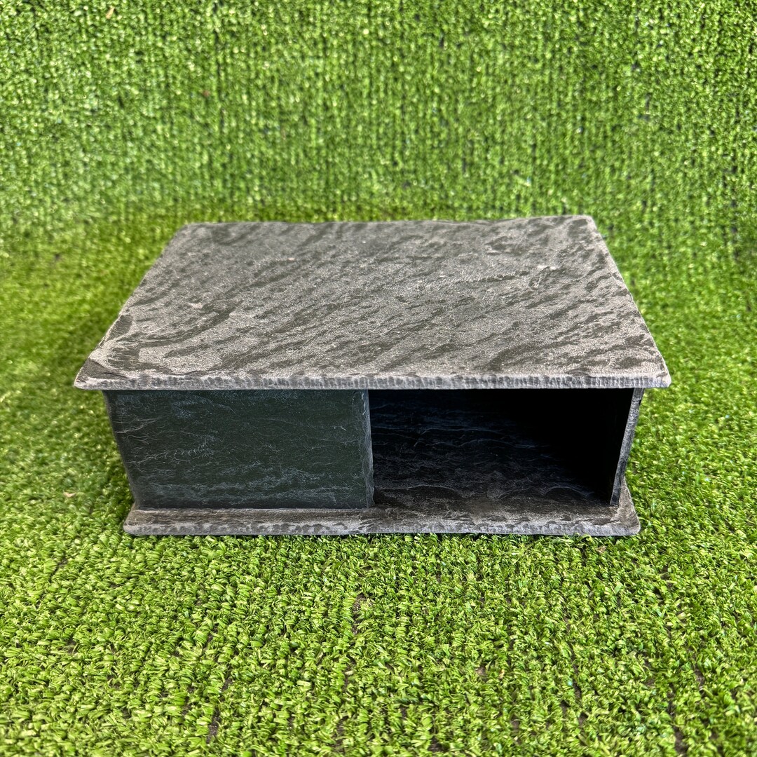 Slate Reptile Aquatic Cave Axolotl, Snakes, Fish, Geckos, Lizards ...