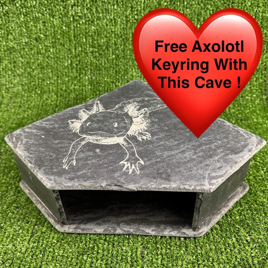Axolotl Laser Engraved Slate Cave (free Axolotl Keyring) - Etsy UK
