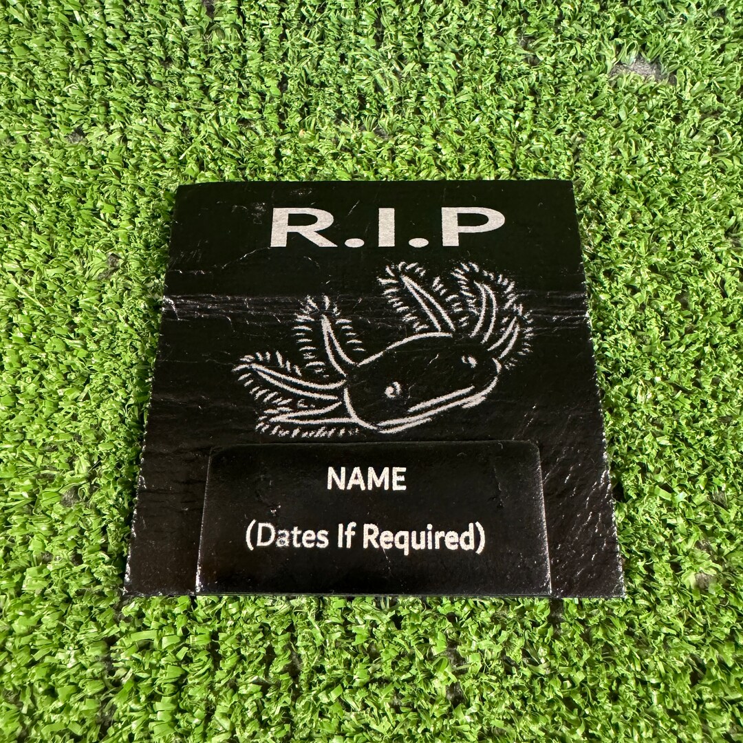 Axolotl Pet Memorial RIP Grave Marker,plaque Laser Engraved 9x9cm - Etsy