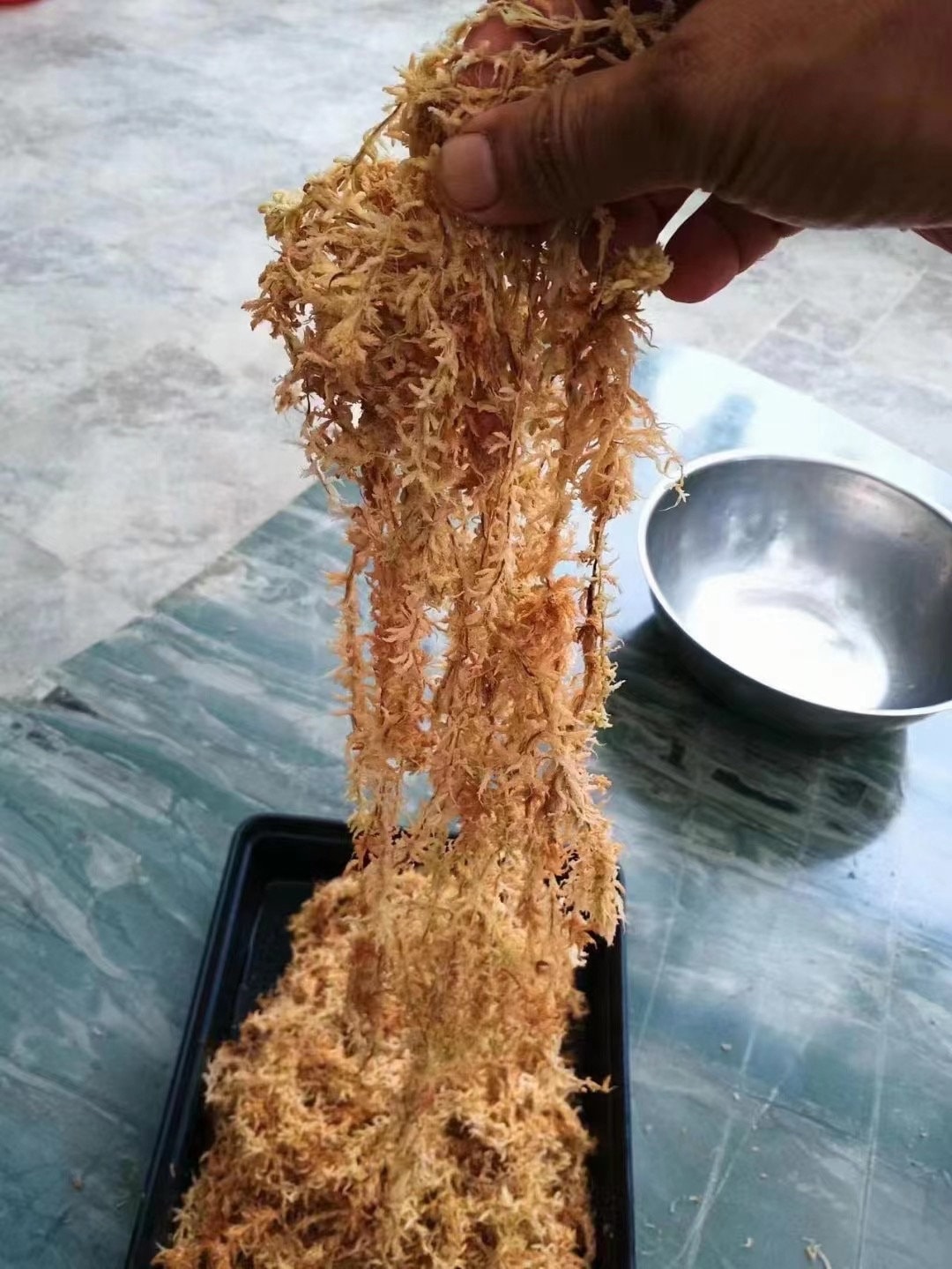 New Zealand Besgrow AAAAA (5A) Sphagnum Moss, Premium Long Strand ...