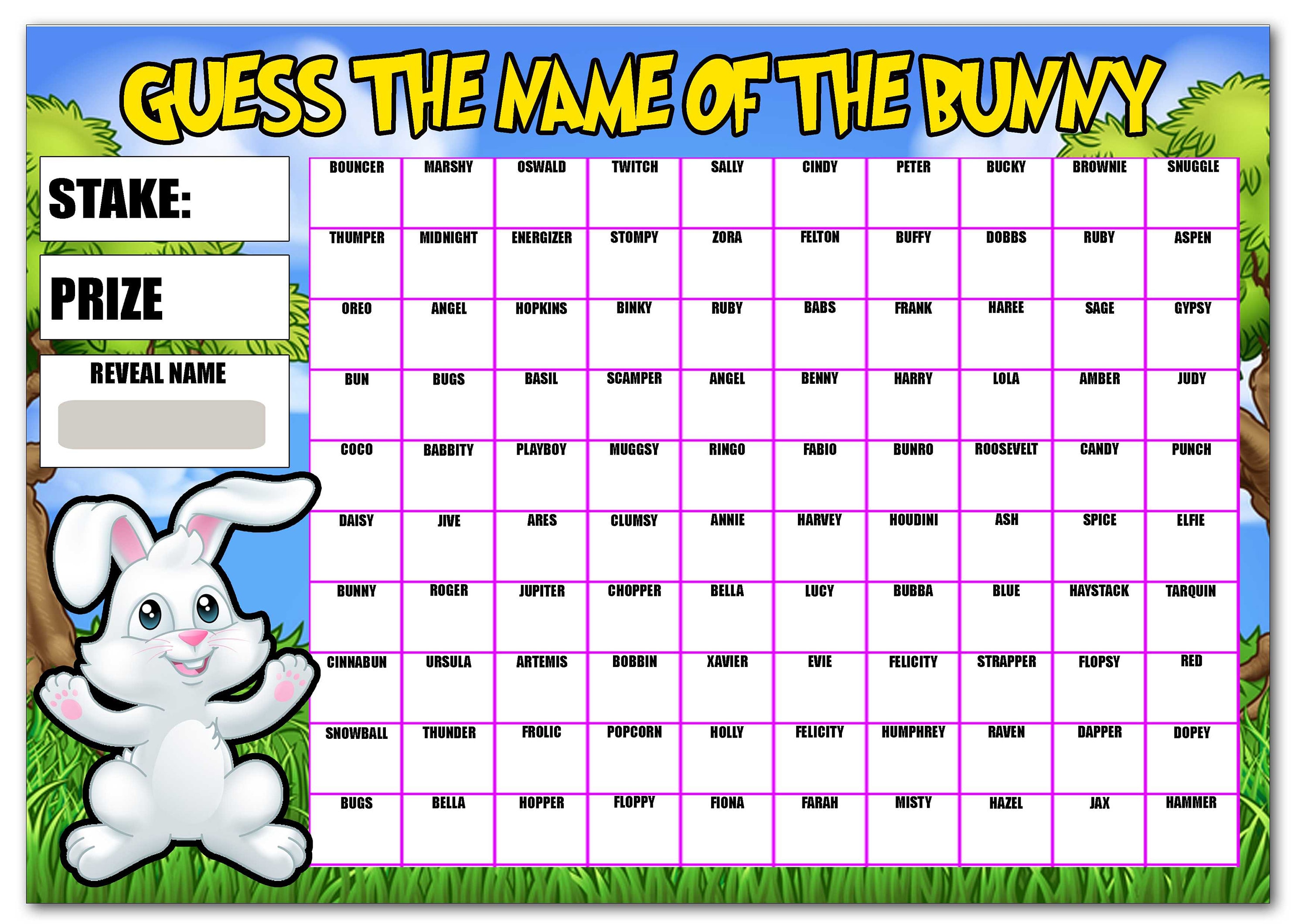 Guess the Name of Bunny Rabbit Fundraising Game Easter Spring Fete ...
