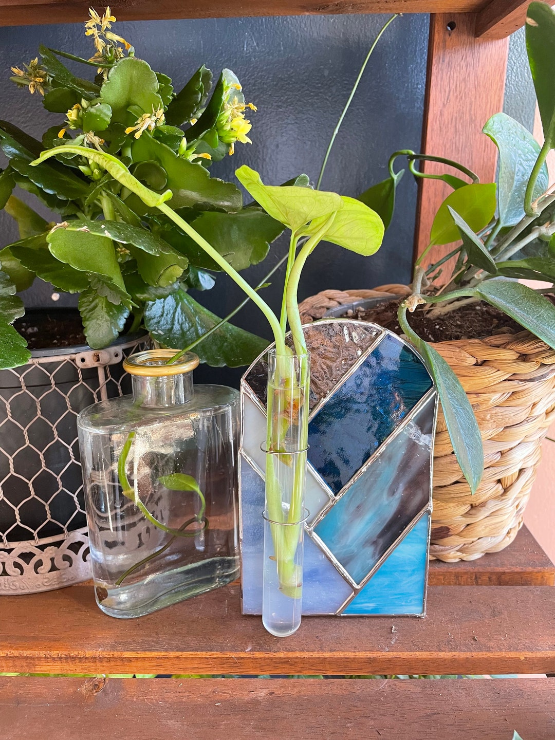 Stained Glass Propagation Arch - Etsy