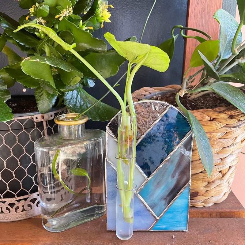 Glass Propagation - Etsy