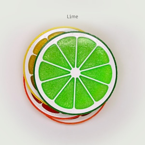 Citrus Fruit Coaster Set - Etsy