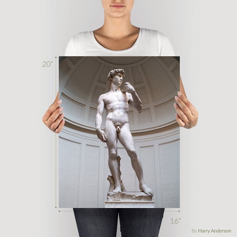 Marble Statue of David Italy Fine Art Canvas - Etsy