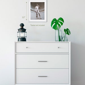 Marble Statue of David Italy Fine Art Canvas - Etsy