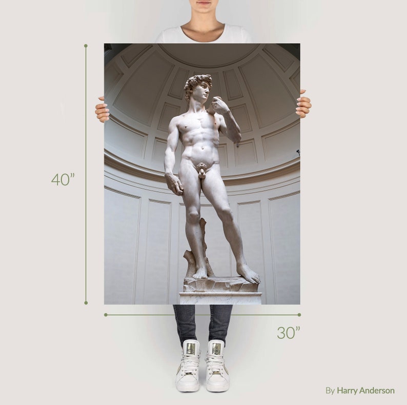 Marble Statue of David Italy Fine Art Canvas - Etsy