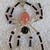 Spruce the Beaded Hanging Plant Spider Ornament - Etsy