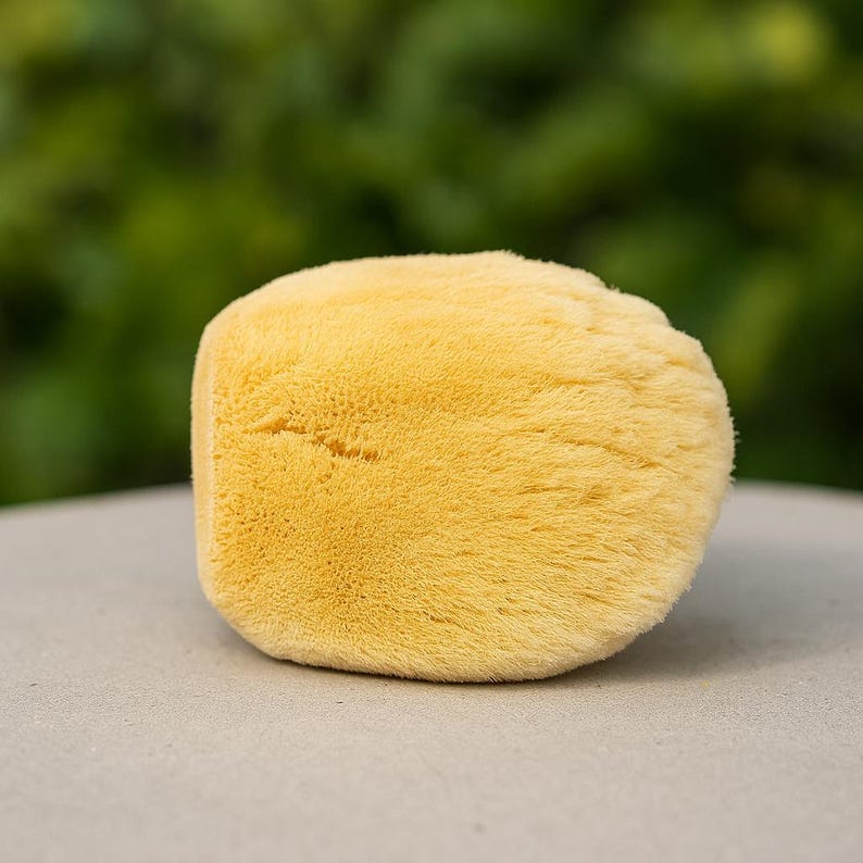 Natural Sea Sponge | Gentle Exfoliator for Sensitive Skin | Luxury Bath ...