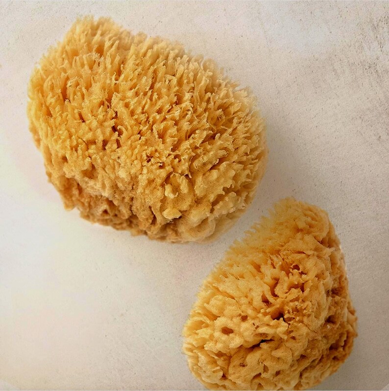 Natural Sea Sponge | Gentle Exfoliator for Sensitive Skin | Luxury Bath ...