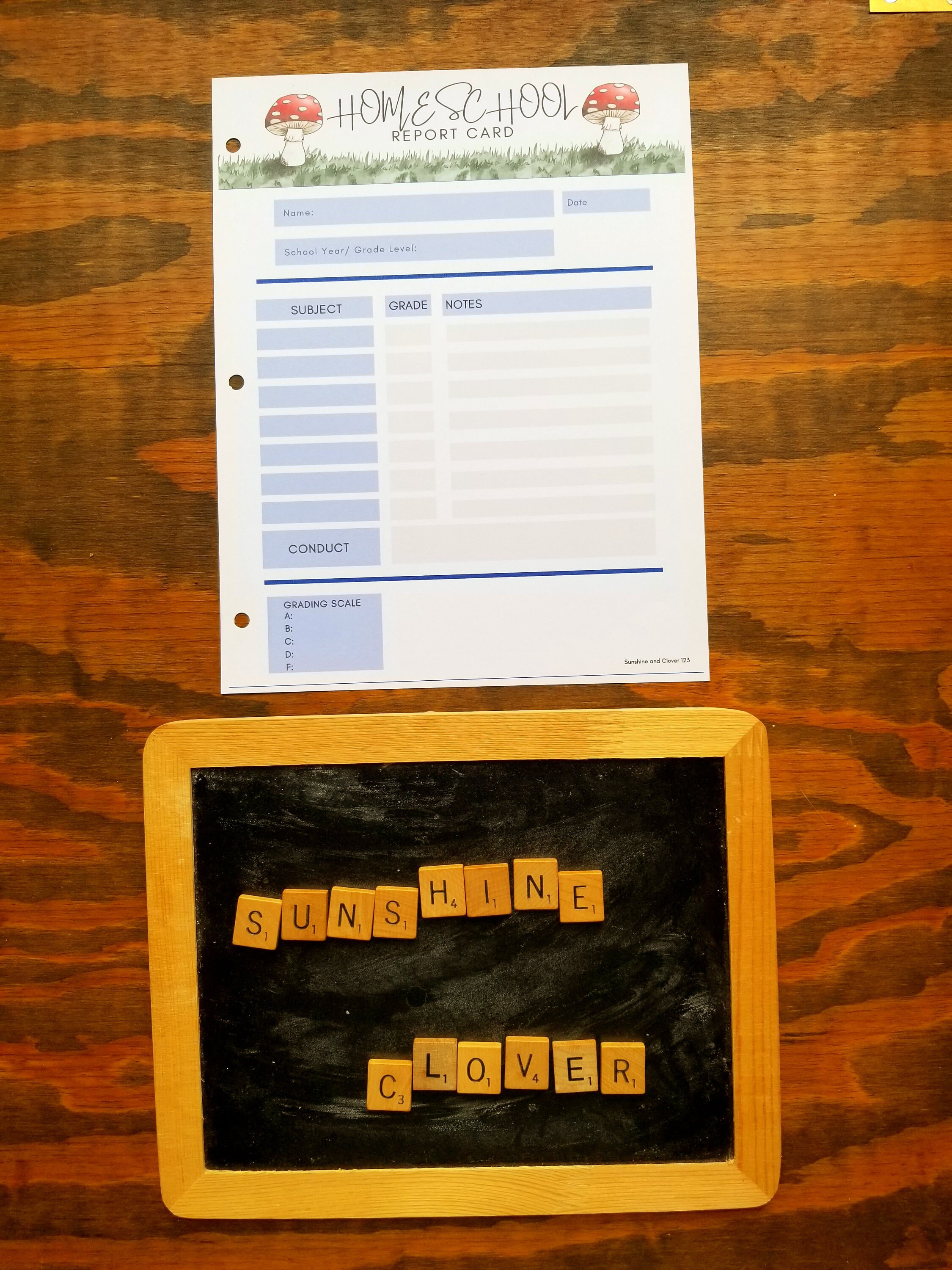 Homeschool Report Card, Grade Card Tracker, Blue Report Card for ...