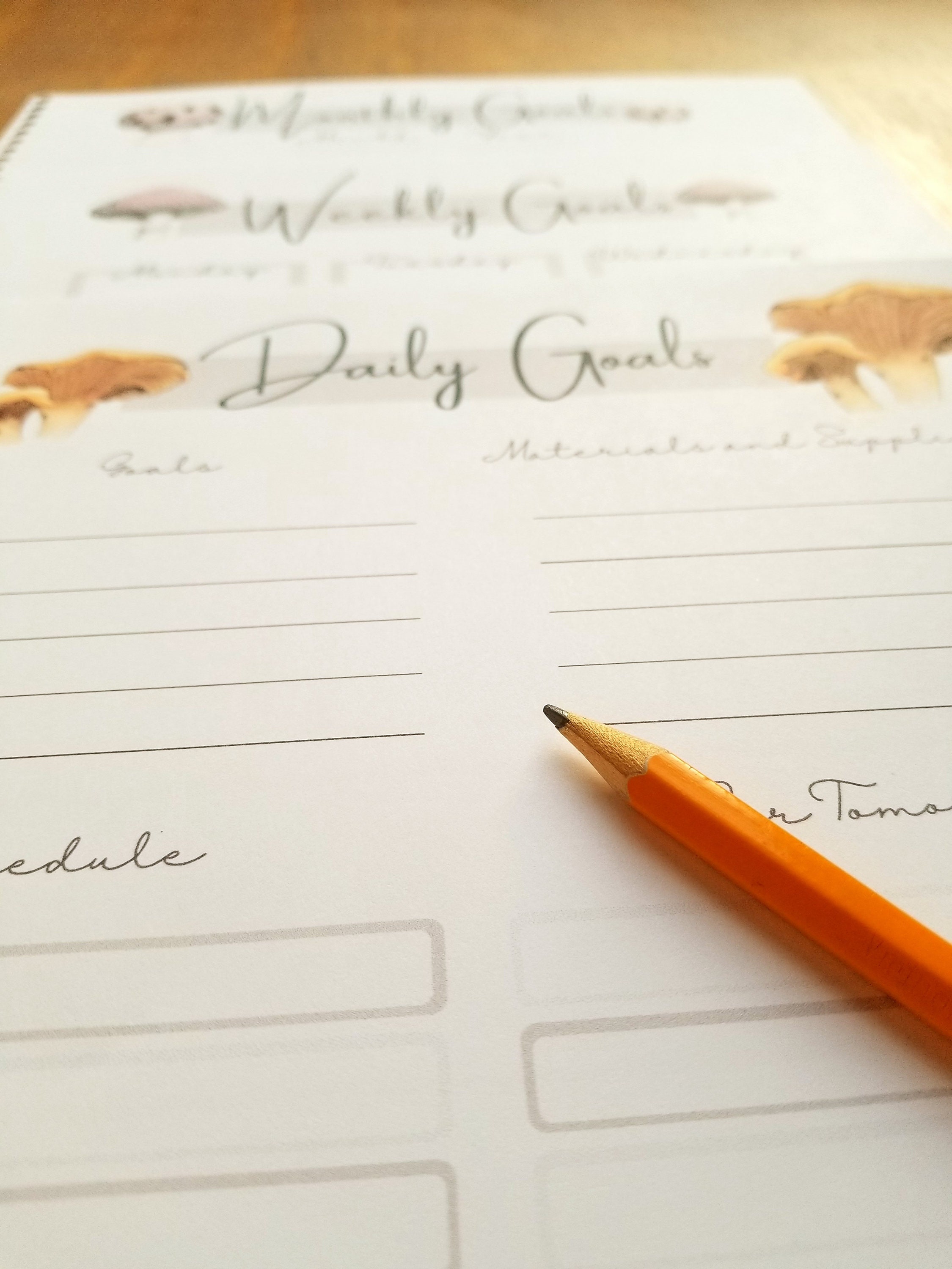 Printable Homeschool Planner, Daily Weekly Monthly Scheduler, Mushroom ...