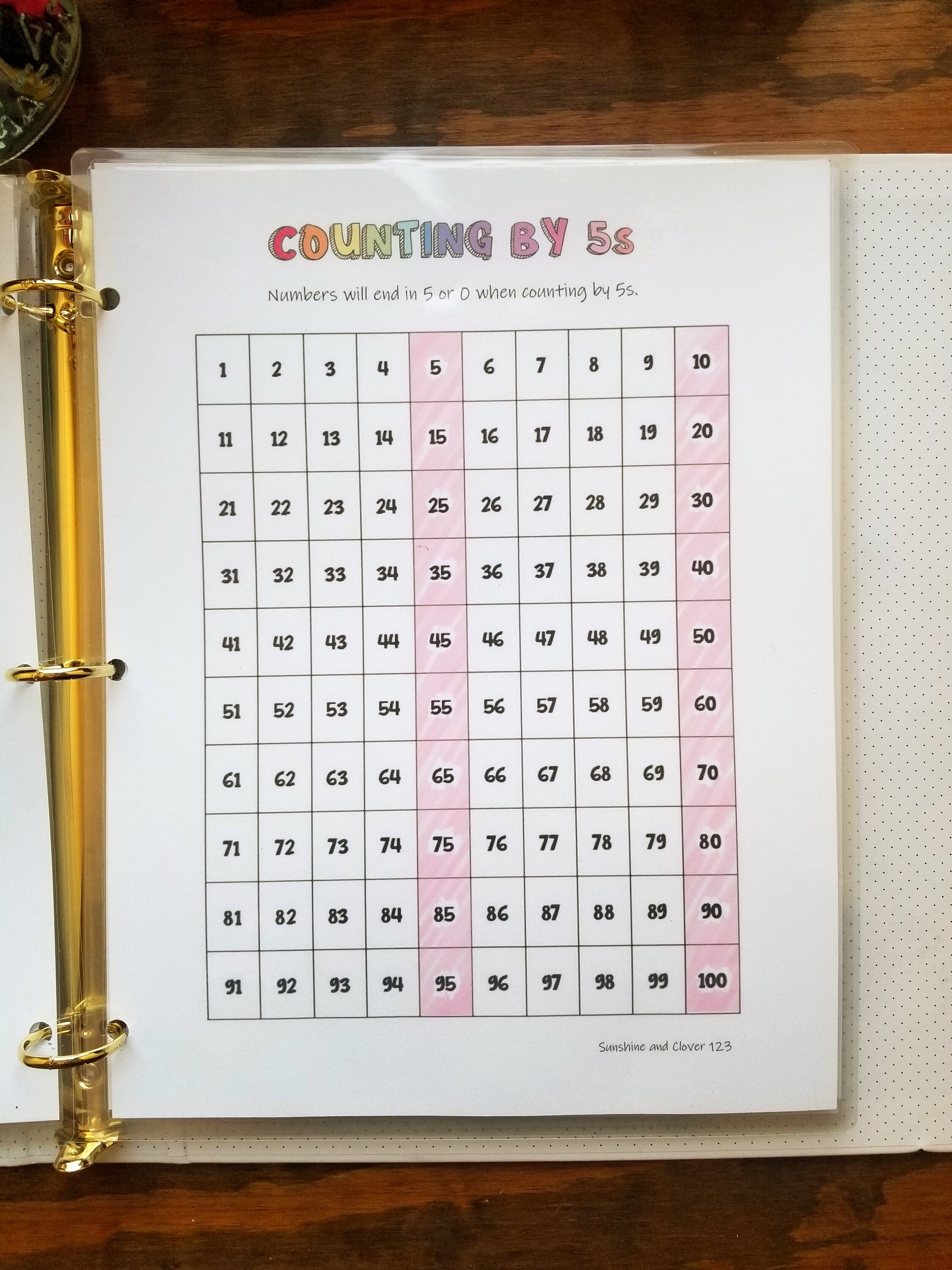 Number Lines, Skip Counting Worksheets, Counting by 2s, 5s, 10s, 1-100 ...