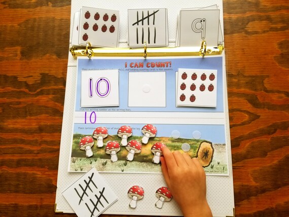 Preschool Number Activity Toddler Counting 1-10 Montessori | Etsy