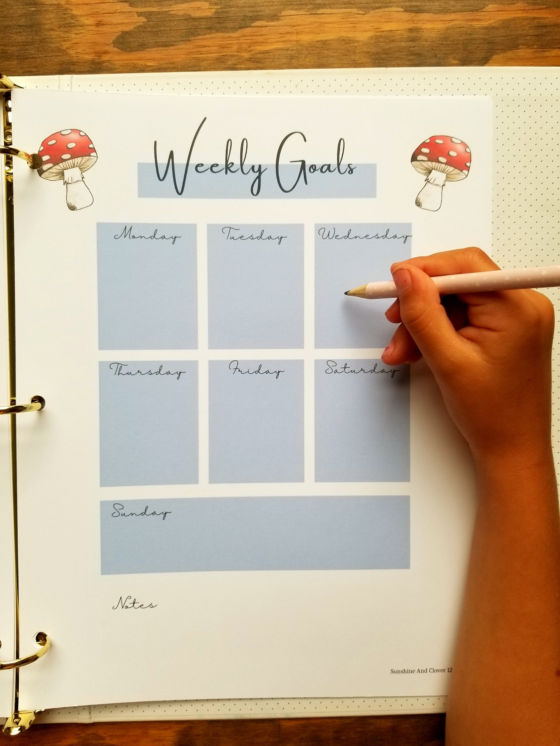 Daily Weekly Monthly Homeschool Organizer Mushroom Blue - Etsy