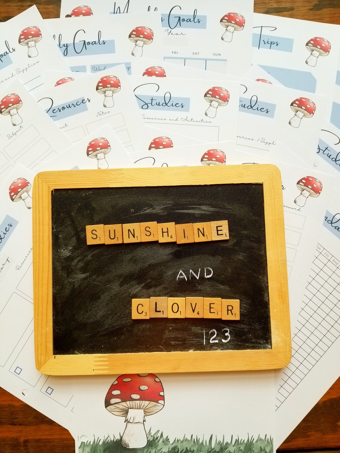 Printable Homeschool Planner Mushroom Blue Homeschool Goals - Etsy