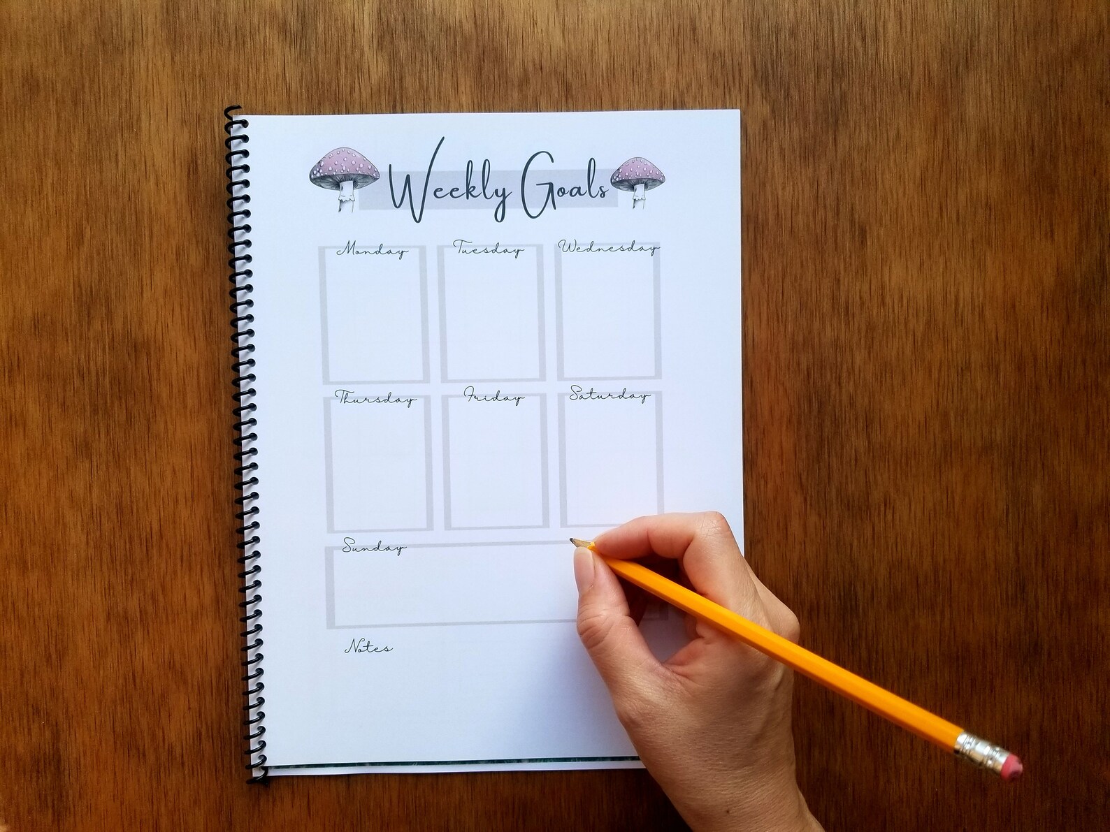 Printable Homeschool Planner, Daily Weekly Monthly Scheduler, Mushroom ...