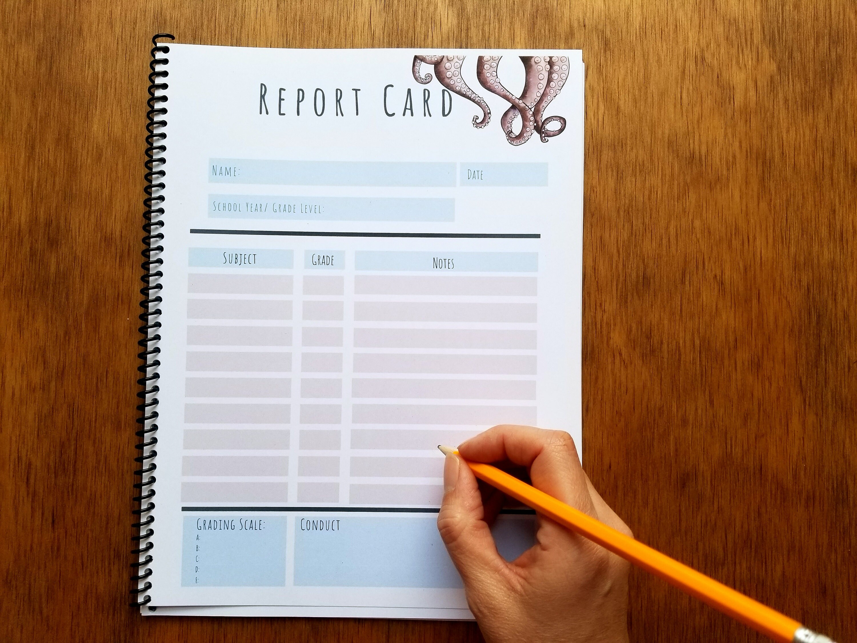 Printable Homeschool Planner Lesson Planner Download and Print Planner ...