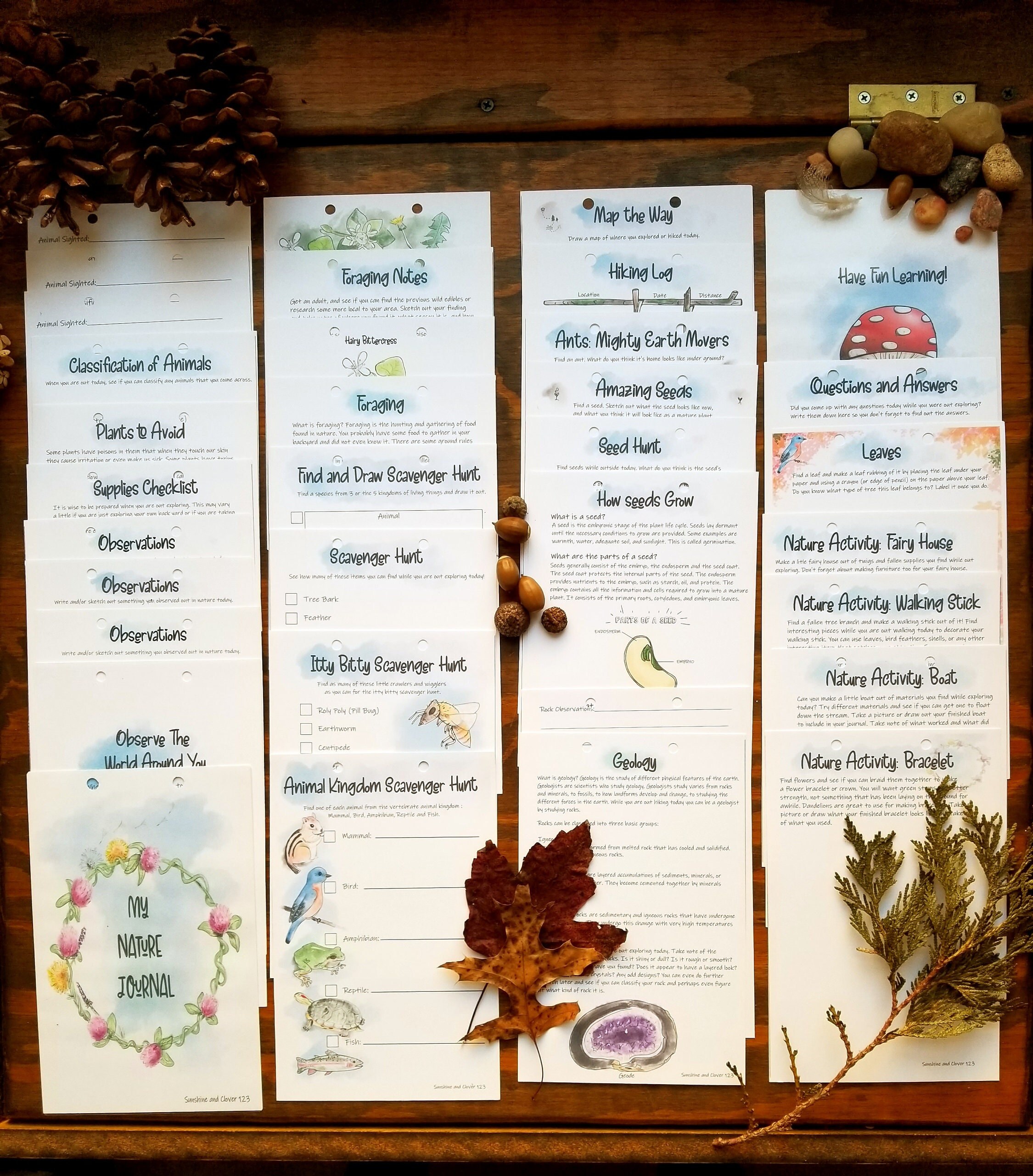 Nature Journal, Printable Nature Booklet, Outdoor Activities for Kids ...